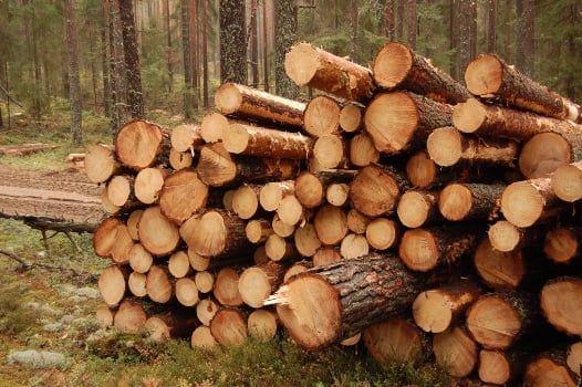 Stewart Timber - Firewood Suppliers Glasgow - Free Delivery